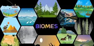 Land Biomes Assessment 11th Grade Quiz | Quizizz