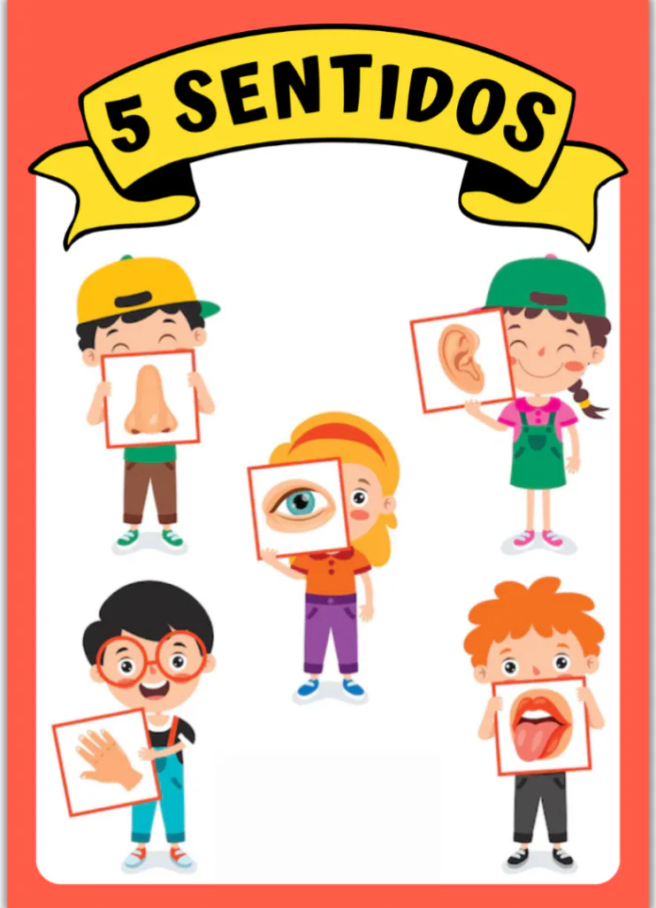 Aprendemos sobre nuestro cuerpo y los sentidos KG Quiz | Quizizz