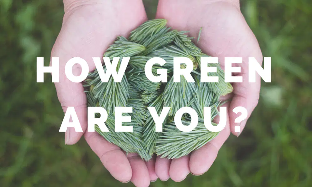 How green you are? Quiz