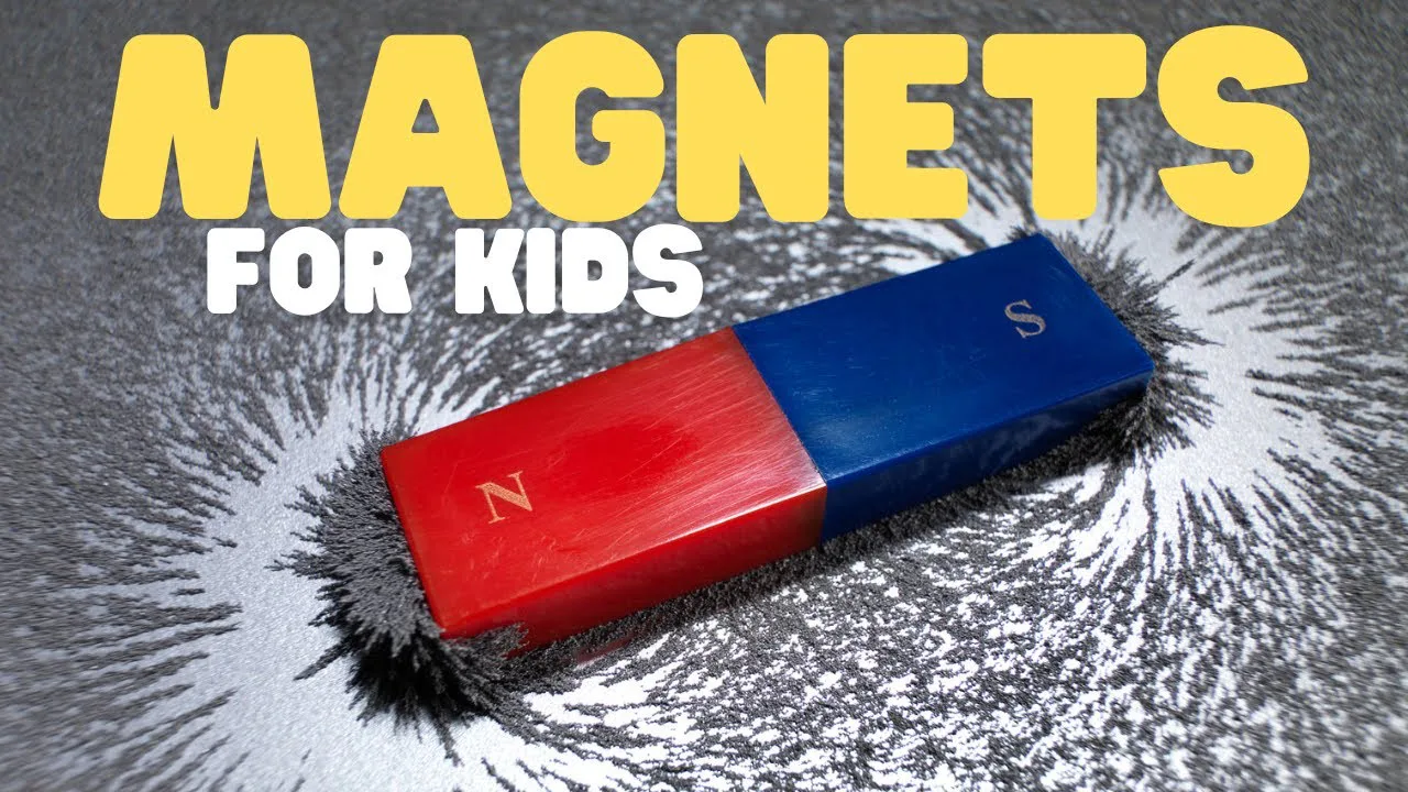 Magnets and Their Interactions Flashcards