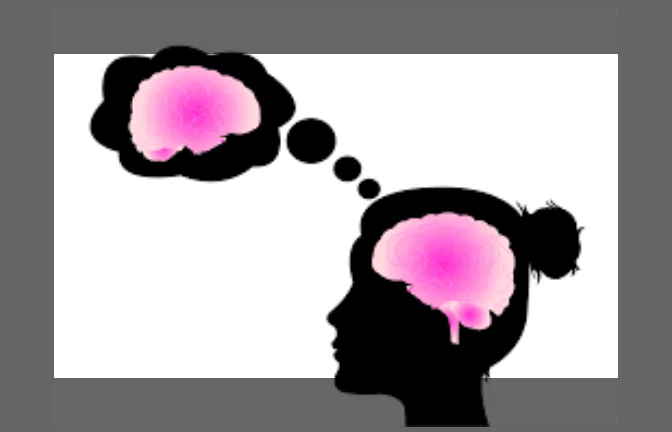 1499EDN Week 3 Cognitive Development Quiz