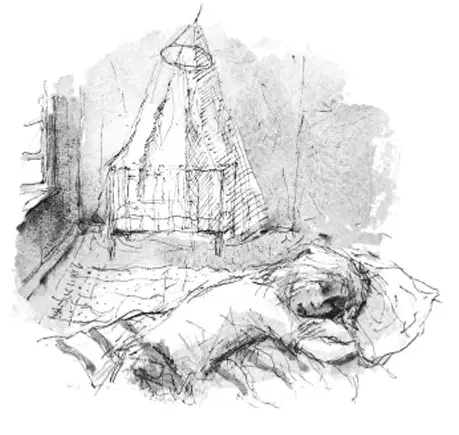 The Naming of Tishkin Silk Chapter 3 Quiz