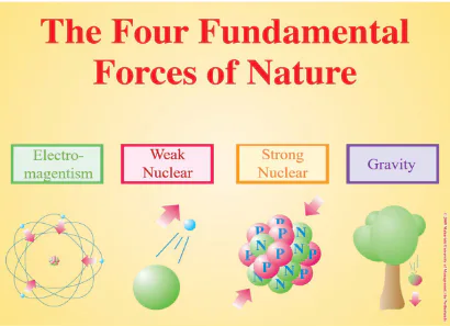 The Four Fundamental Forces Quiz