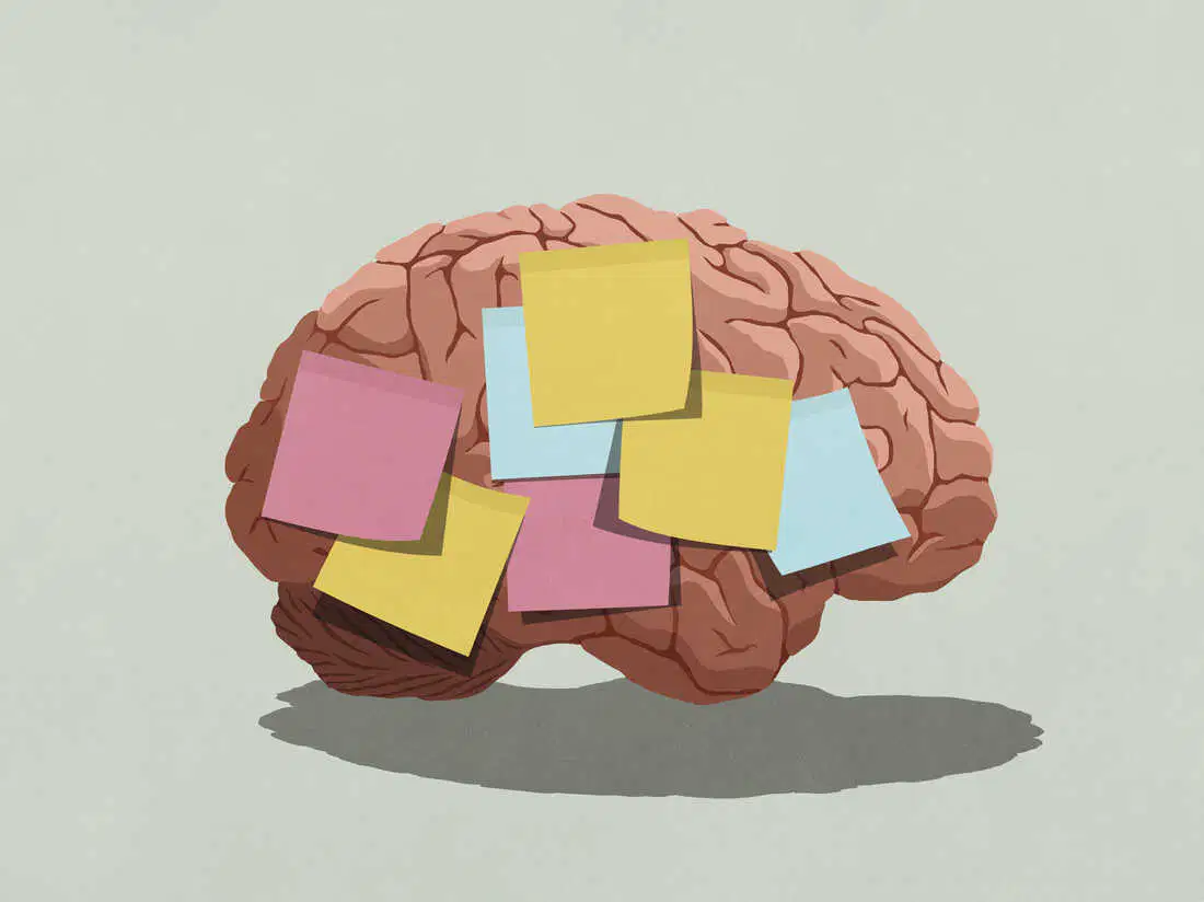 Memory nouns and verbs. Quiz
