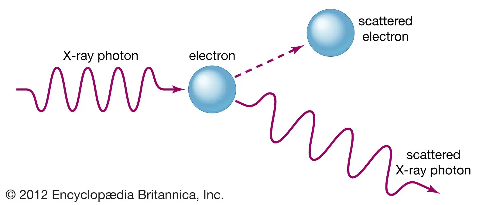 Particle of Light Energy 10th Grade Flashcard | Quizizz