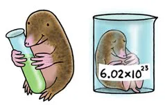 Moles and Mole Conversions 10th - 11th Grade Quiz | Quizizz