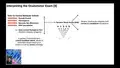 Oculomotor Exam - Central Deficits | Interpretation & Treatment ...