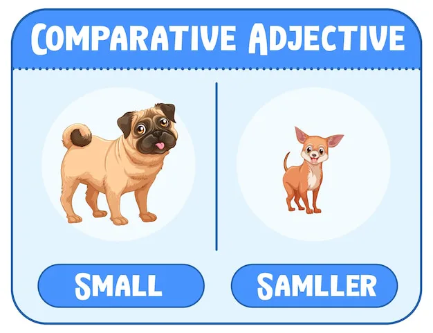 Comparatives and superlatives Flashcards