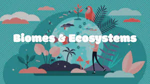 Biomes and Ecosystem Vocabulary Warmup 9th - 12th Grade Quiz | Quizizz