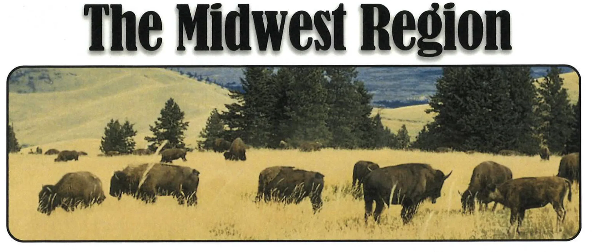 Midwest Region Review Quiz 6th Grade Quiz | Wayground (formerly Quizizz)