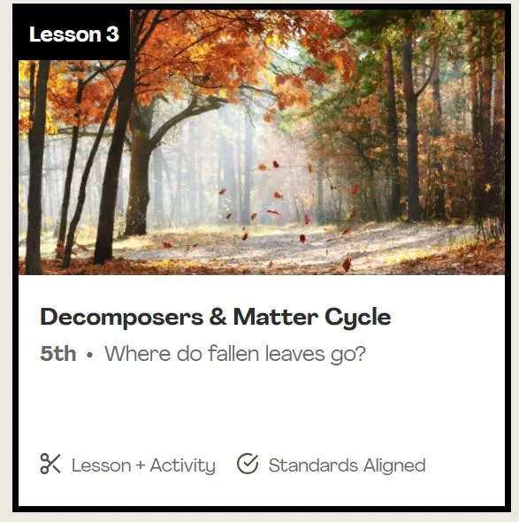 Where Do Fallen Leaves Go? Mystery Science 3 5th Grade Flashcard ...