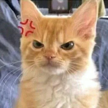 The Early Republic STAAR Review Quiz