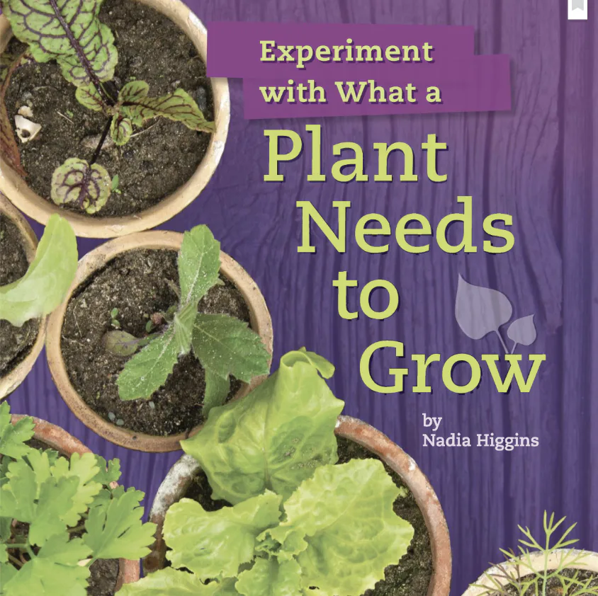 Experiment with What a Plant Needs to Grow 5th Grade Quiz | Quizizz