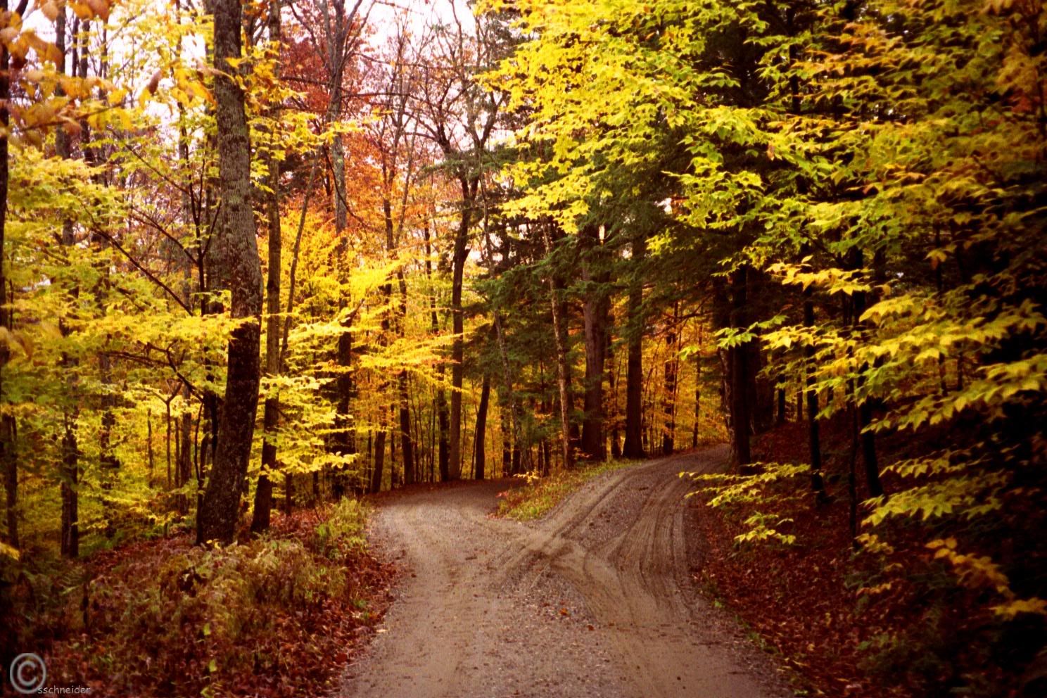 The Road Not Taken by Robert Frost Quiz