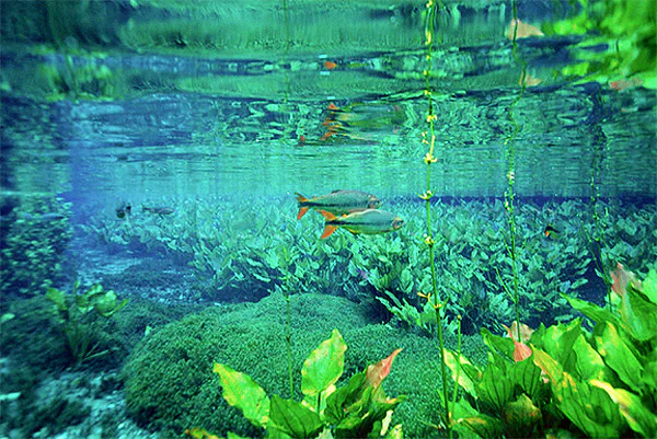 Aquatic Science Unit 1 Test Quiz