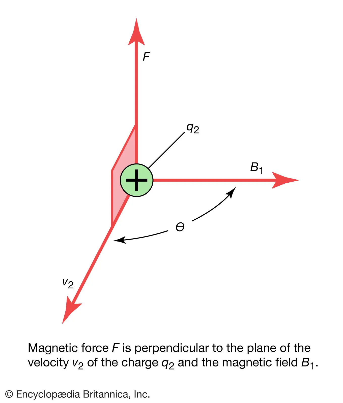 Unit 4 Physics Review 9th - 12th Grade Flashcard | Wayground