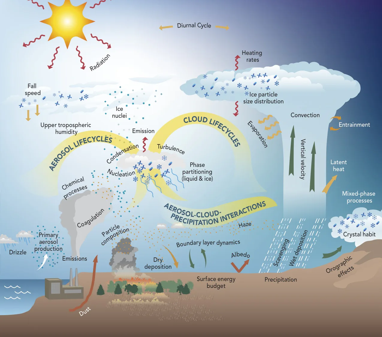 The Water Cycle, Cloud Formation, and Air Masses 6th Grade Quiz | Quizizz