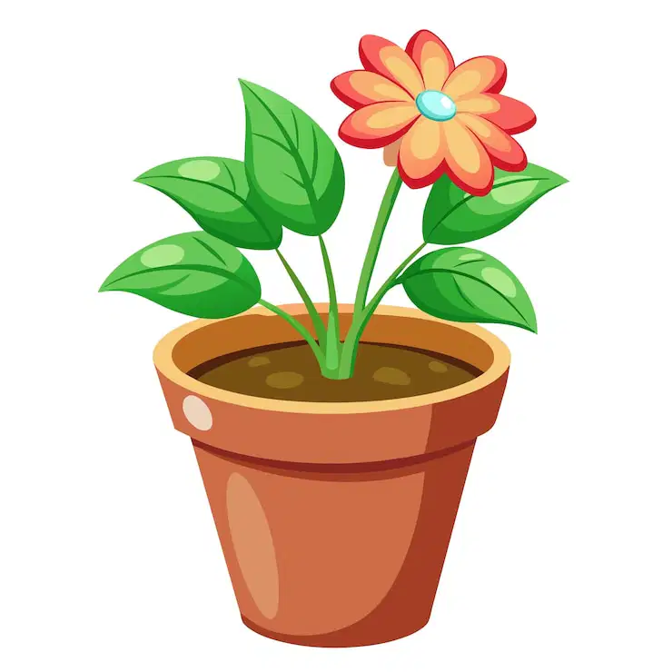 partes de la planta y su función Quiz