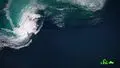 How Does a Box-Shaped Fish Swim? 11th Grade - University Video | Wayground