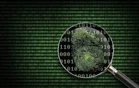 CNET151 - Chapt 14 - Intro to Forensics 11th Grade Quiz | Wayground
