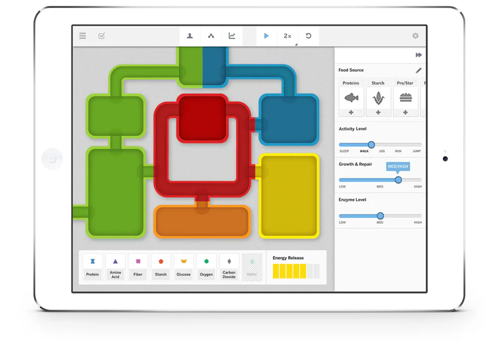 Amplify Metabolism Review 6th Grade Flashcard | Quizizz