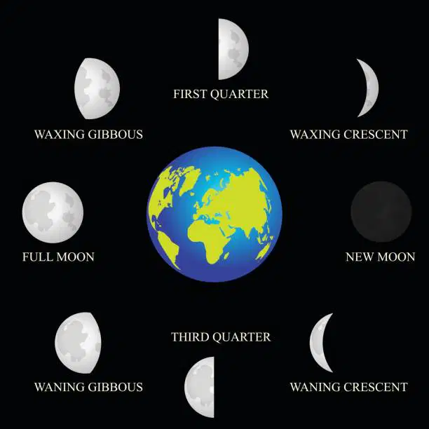 Moon Phases 8th Grade Flashcard | Wayground (formerly Quizizz)
