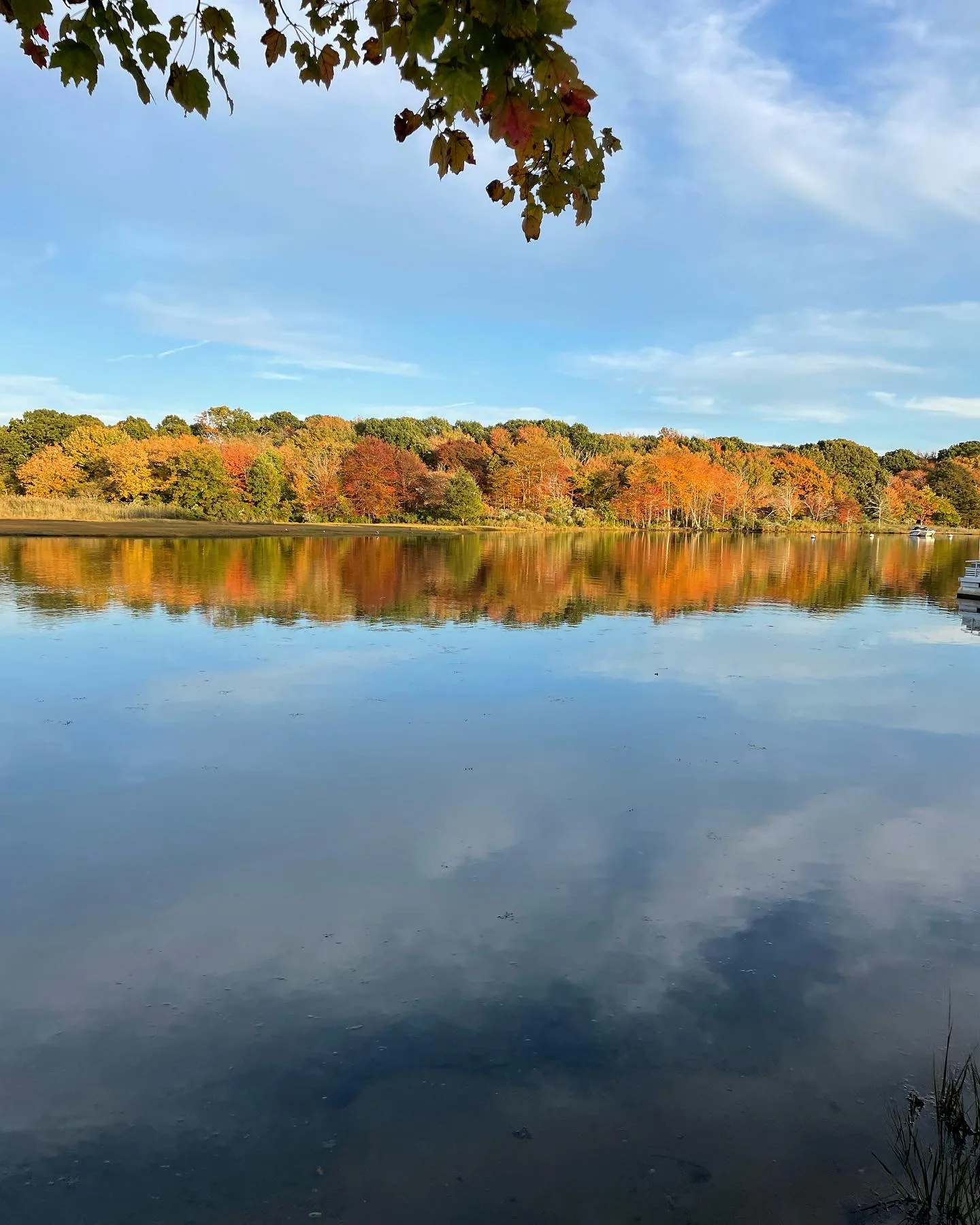Ecosystems and Collapse Quiz 6th Grade Quiz | Quizizz