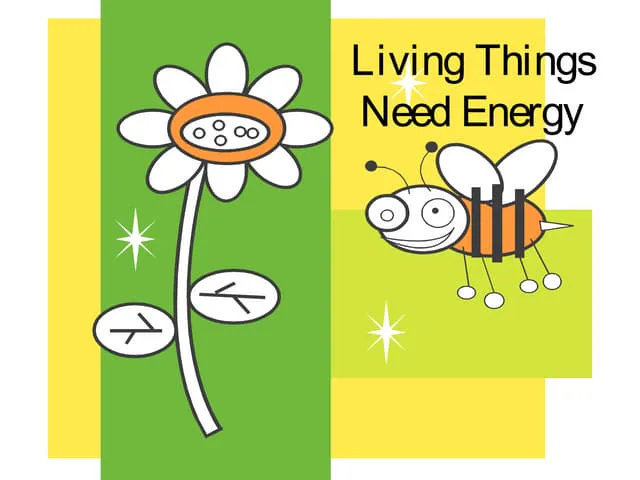Energy and Living things Quiz