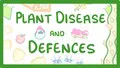 GCSE Biology - Plant Disease and Defences #46 9th - 10th Grade Video ...