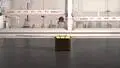 NASA developing robot bees for Mars exploration Interactive Video
