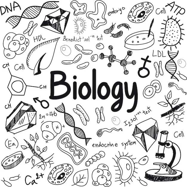 Biology Fall Final Exam Review 9th Grade Flashcard | Wayground