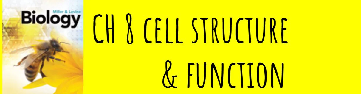 CH 8 Cell Structure & Function REVIEW 4 TEST 10th Grade Quiz | Quizizz