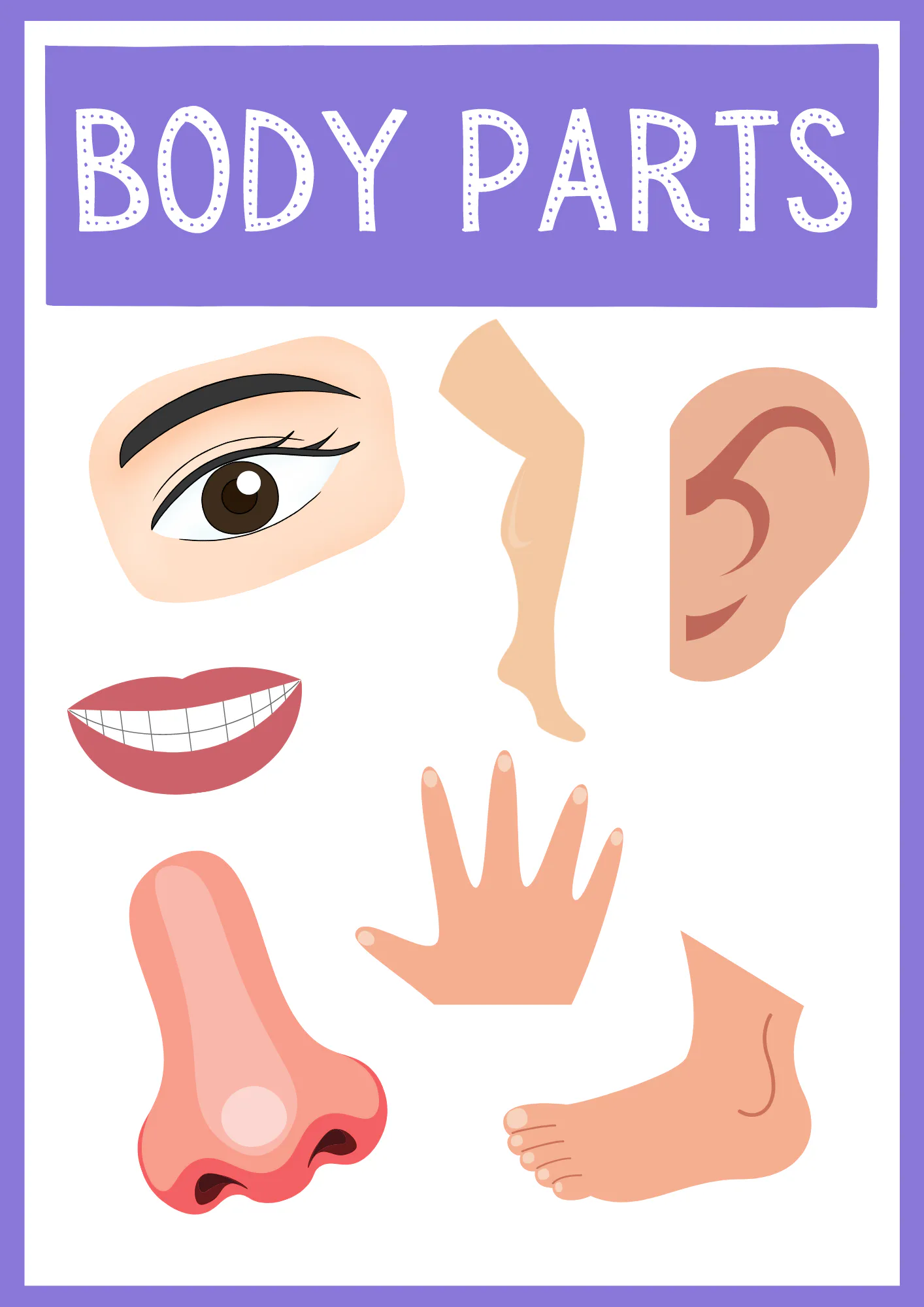 Body Parts Quiz