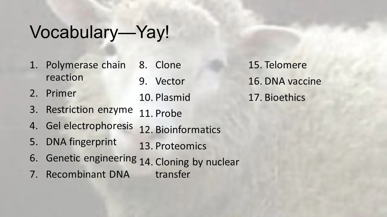 Genetic Engineering Vocabulary 5th Grade Flashcard | Wayground ...