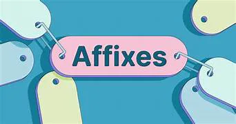 Understanding Affixes Flashcards