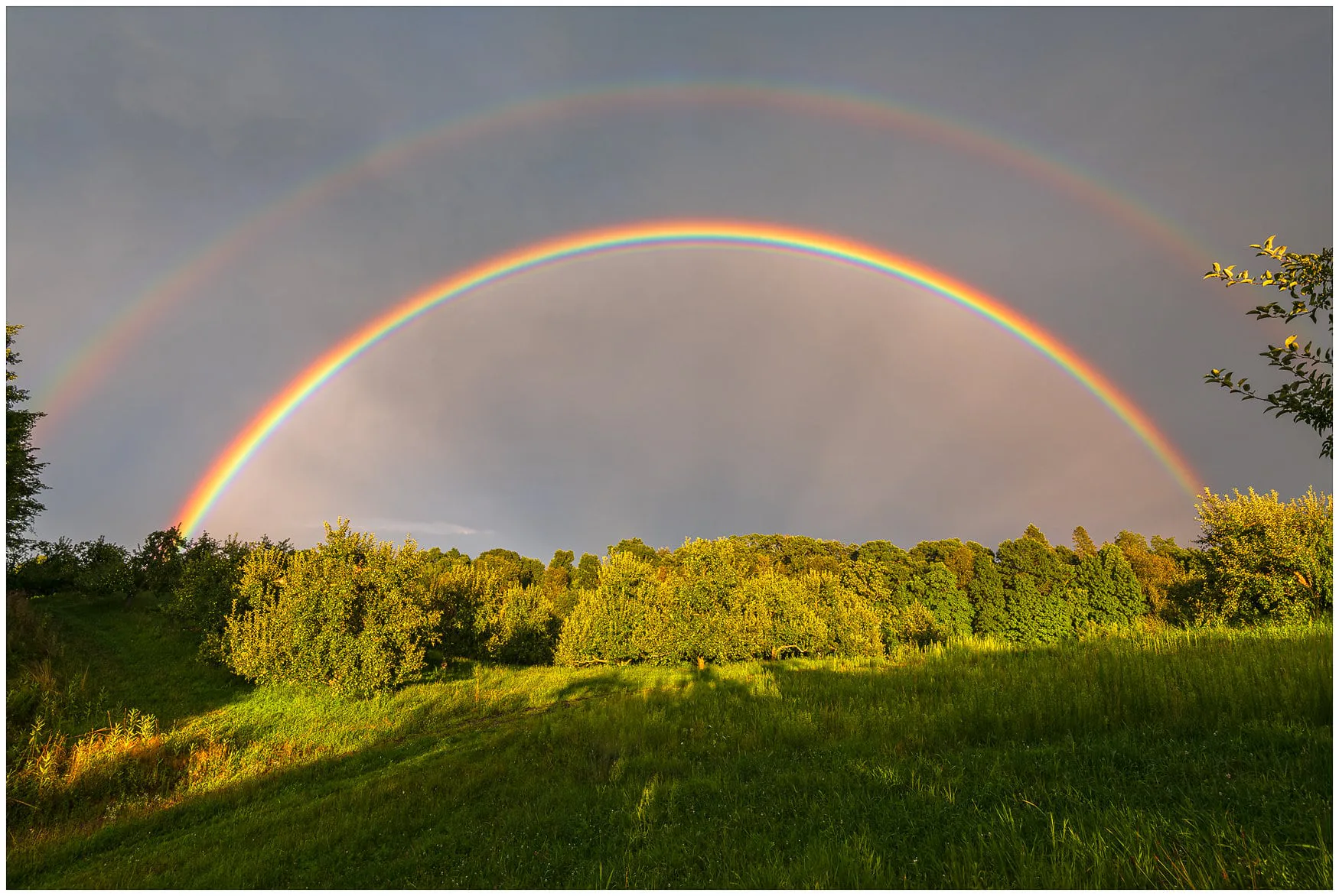 Test 10 Light and Vision 4th Grade Quiz | Wayground (formerly Quizizz)