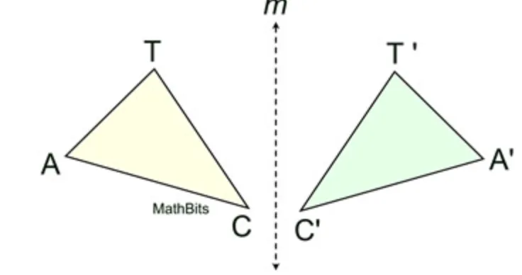 Rigid Transformations and Congruence Review Quiz