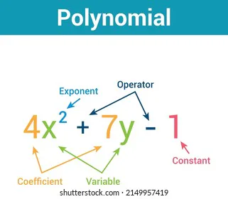 Identify Polynomial 9th - 11th Grade Quiz | Wayground