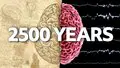 A (Brief) History of Brain Sciences 11th Grade - University Video ...