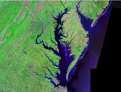 Mississippi Science Review 8th Grade Quiz | Wayground
