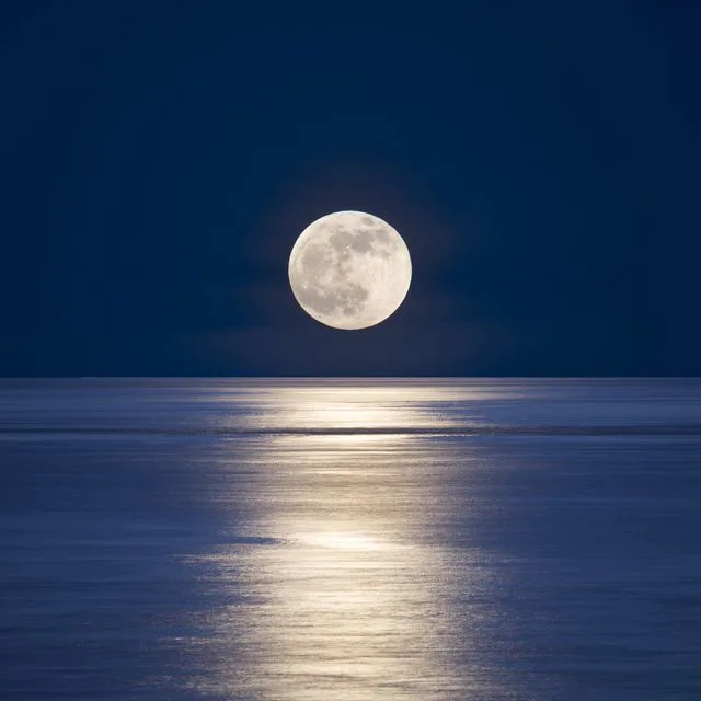 Phases of the moon 3rd Grade Quiz | Wayground (formerly Quizizz)