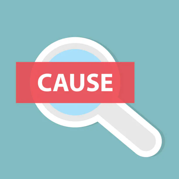 Causative Verbs Quiz Quiz