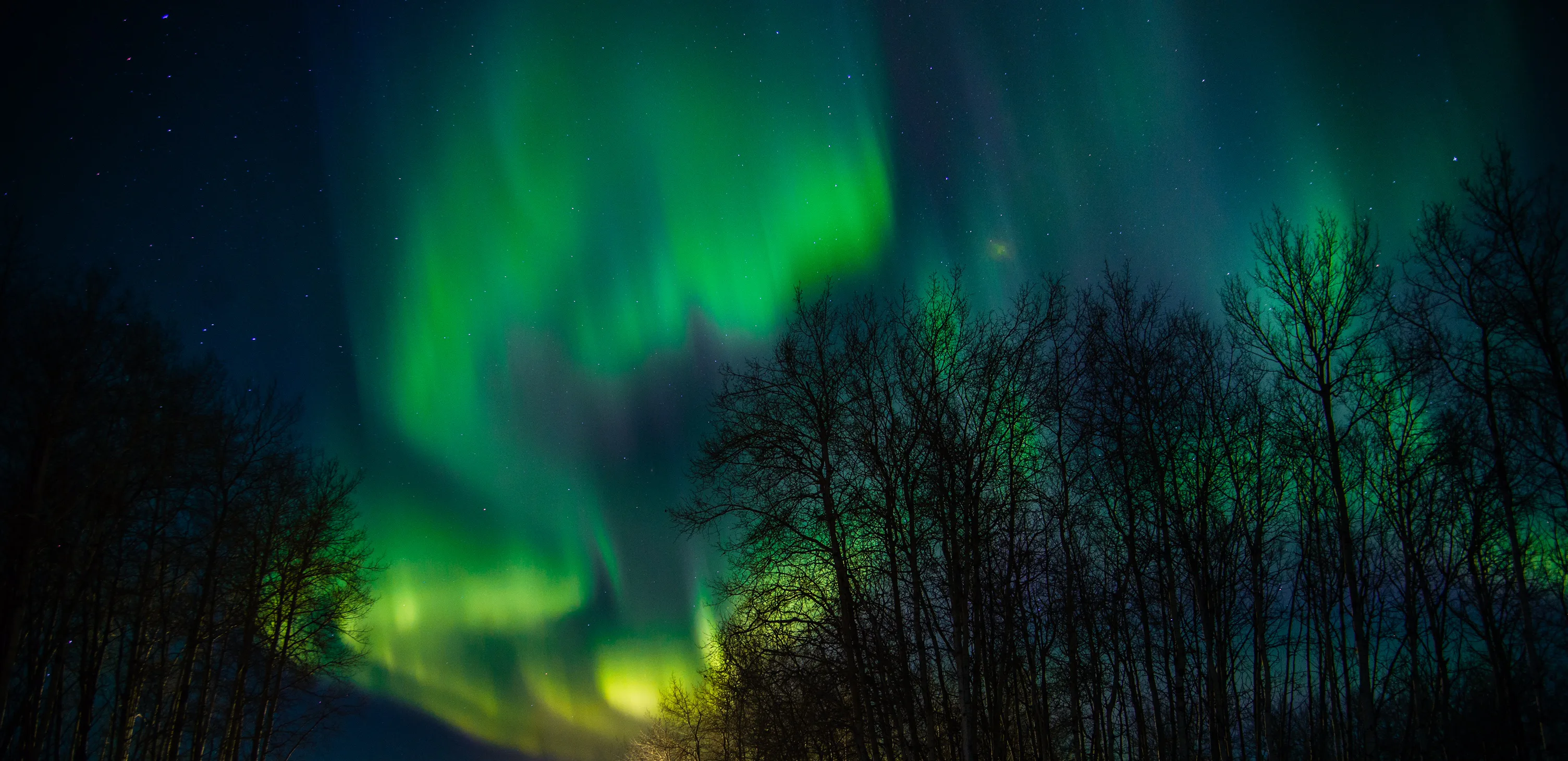 Alberta Chemistry 20 unit 1 review Quiz