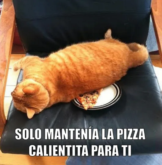 Imperfect Ir, ser, ver Flashcards