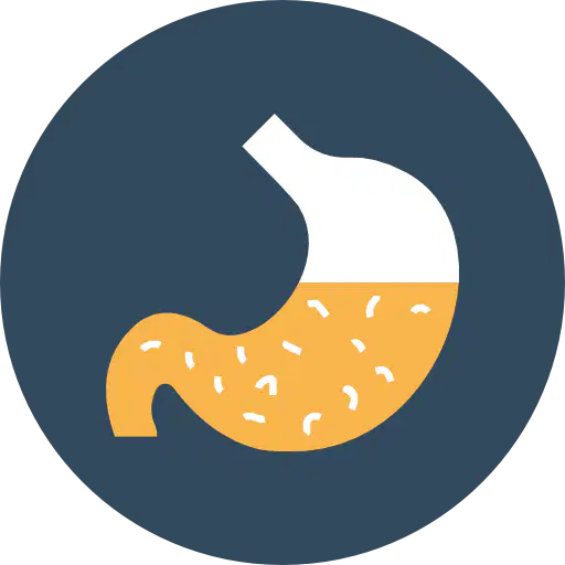 Lesson Review Quiz - acids in digestion 10th Grade Quiz | Quizizz