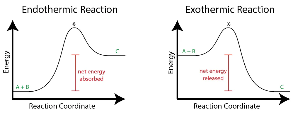 Chemical Reactions and Energy Changes Quiz 10th Grade Quiz | Wayground ...