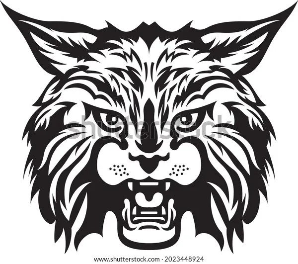 2025 SEM ALG 1_Evaluating and Interpreting Functions Quiz