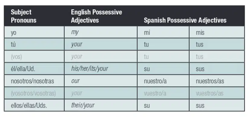Possessive Adjectives Quiz