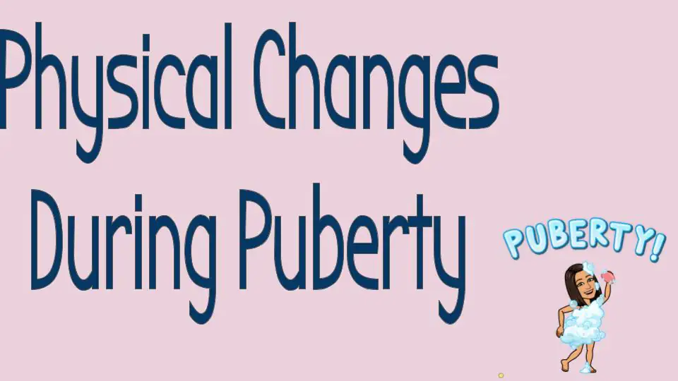 Grade 4 Puberty Assessment Quiz