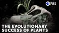 How (Some) Plants Survived The K-Pg Extinction 11th Grade - University ...